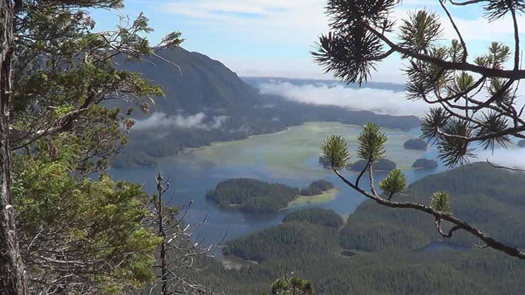 lone-cone - Discover Tofino